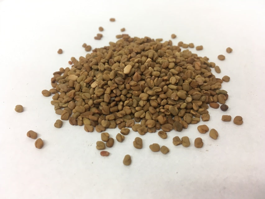 Hu Lu Ba Zi - Common Fenugreek Seed | Max Nature